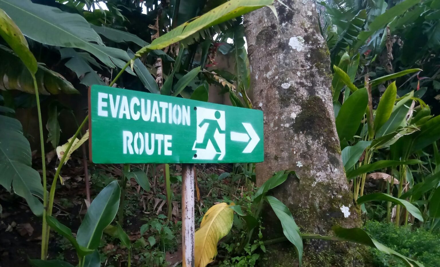 Evacuation Management System: How They Can Save Lives